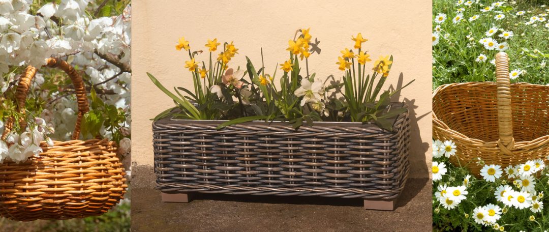 wicker garden baskets